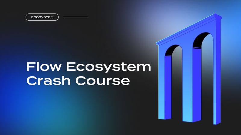 Welcome To The Flow Ecosystem: A Crash Course